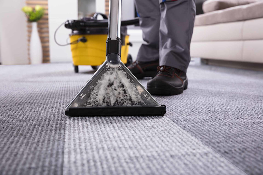 Find Carpet Cleaning Companies Near Me | Checkatrade