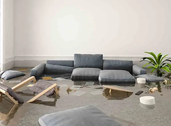 Find flood cleaning services near me