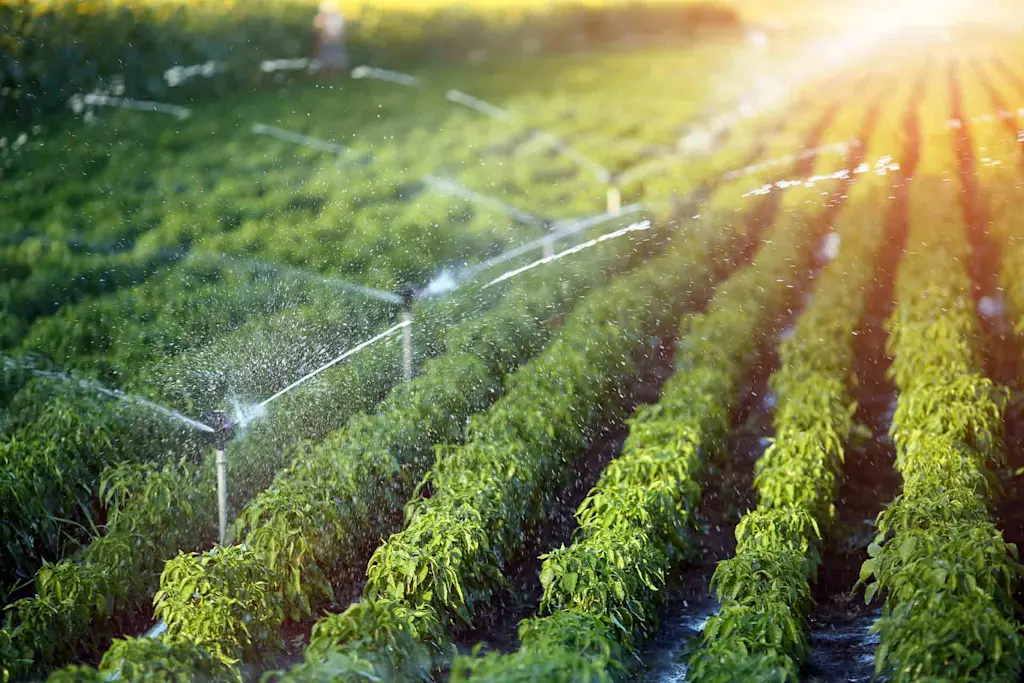 How Much Does an Irrigation System Cost in 2026? | Checkatrade