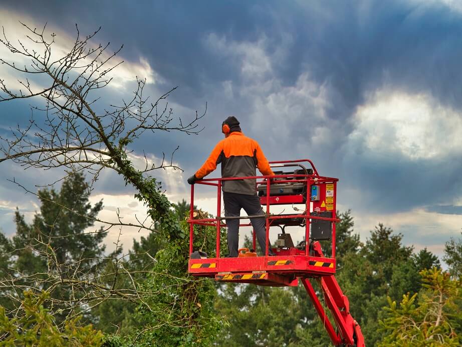 Find Cherry Picker Hire Near Me | A Job Done Right