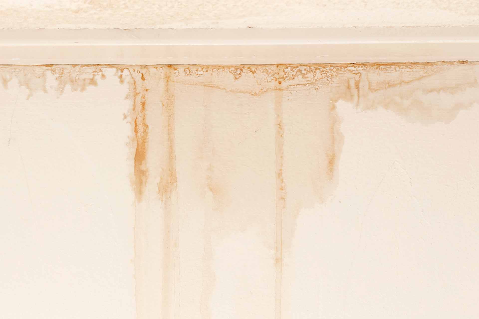 How To Paint Over A Water Stain – All You Need To Know | Checkatrade