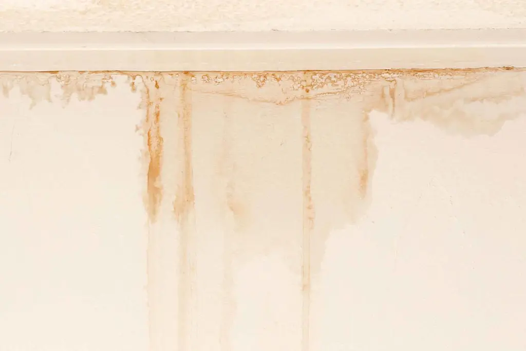 How To Paint Over A Water Stain – All You Need To Know | Checkatrade