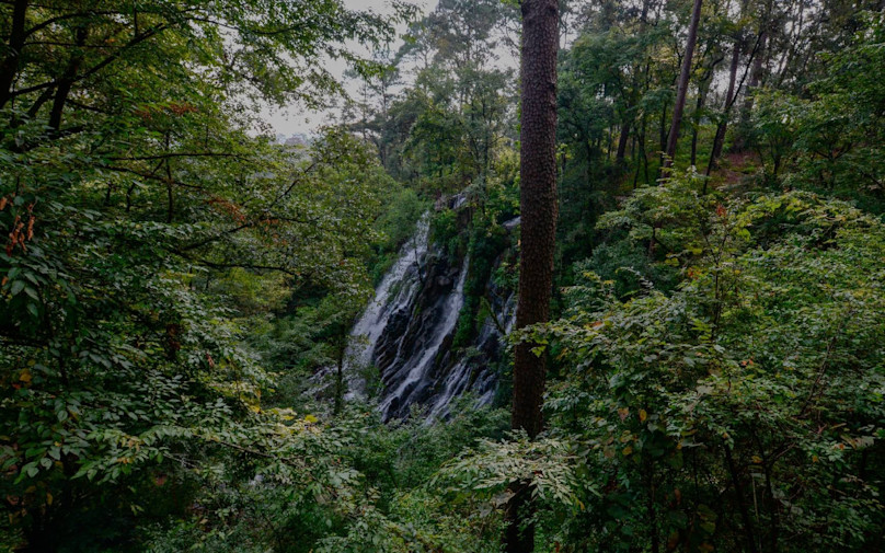 Things to do in Zumpahuacán: Book Tours & Activities at Peek.com