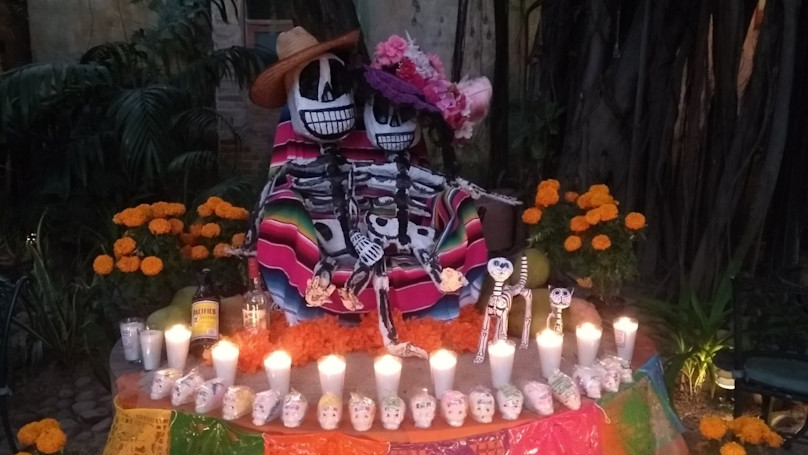 Things to do in Sinaloa: Book Tours & Activities at Peek.com