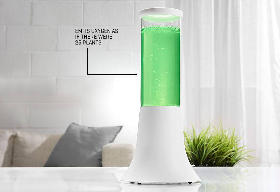 Algae air purifier store