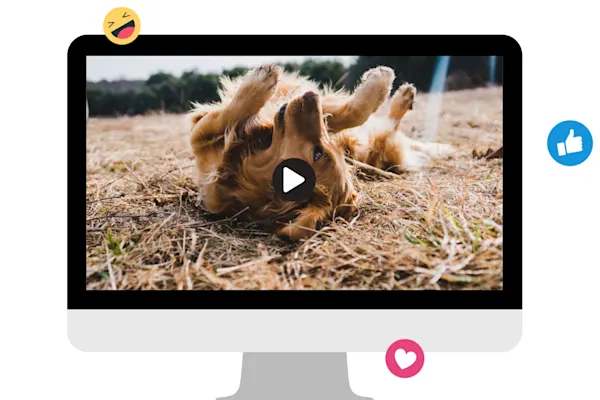 lumen5-desktop-dog-video-screenshot