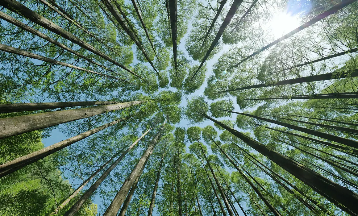 Nexeon Raises Significant Funding to Scale-up Production | Nexeon ...