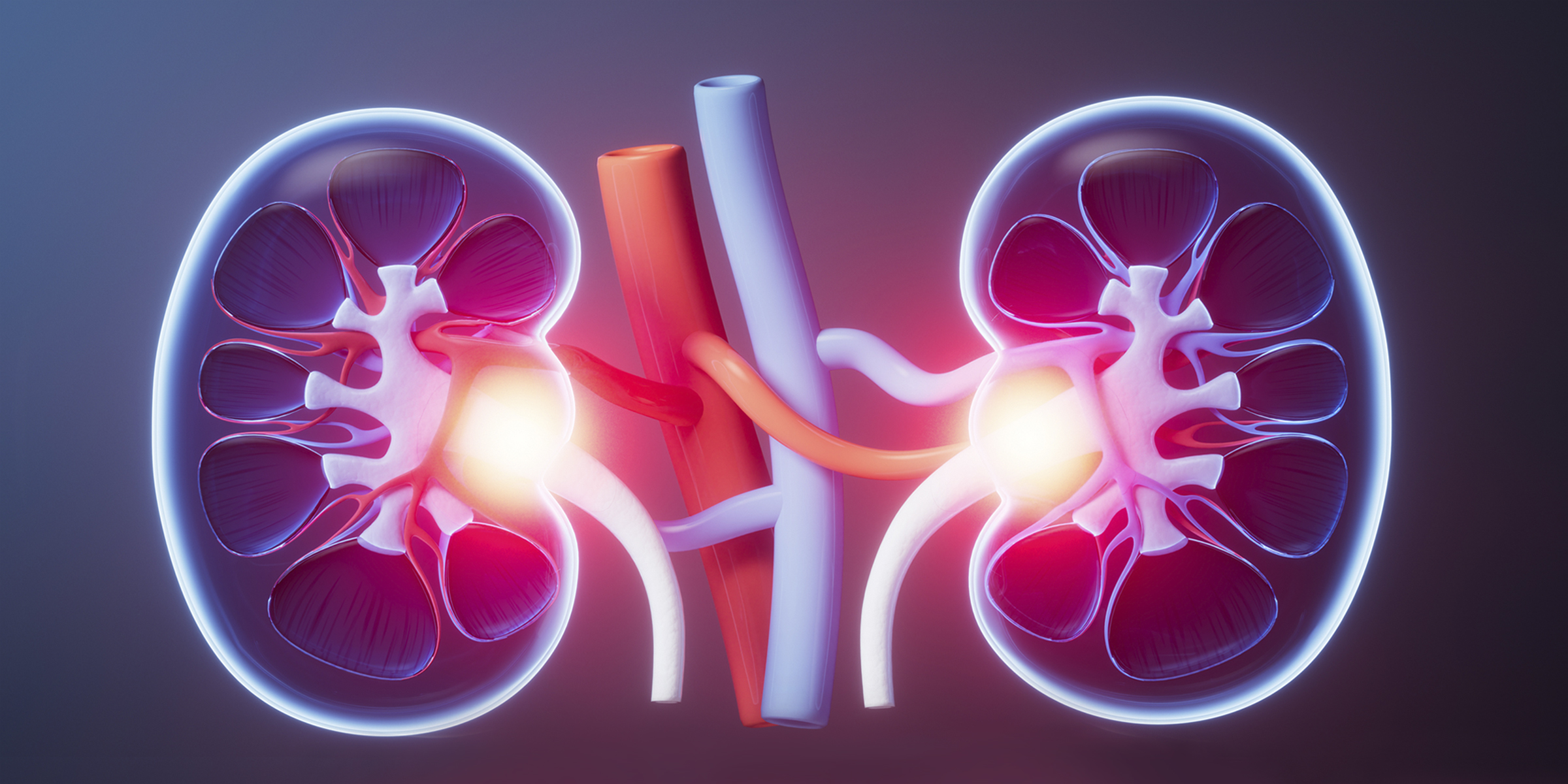 epocrates Continuing Medical Education