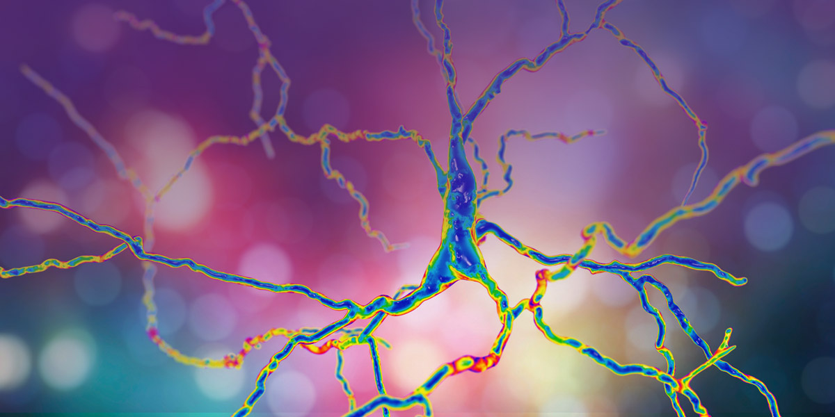 epocrates Continuing Medical Education