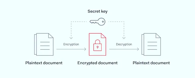 How to Encrypt Internet Connection: A Guide for Your Business | NordLayer