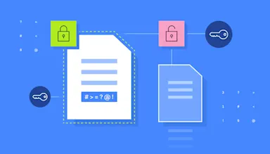 How to Encrypt Internet Connection: A Guide for Your Business | NordLayer