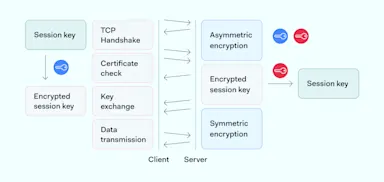 How to Encrypt Internet Connection: A Guide for Your Business | NordLayer