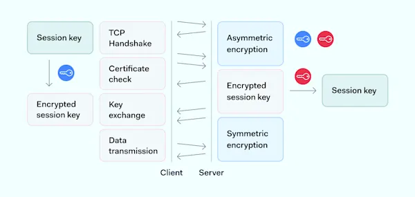 How to Encrypt Internet Connection: A Guide for Your Business | NordLayer