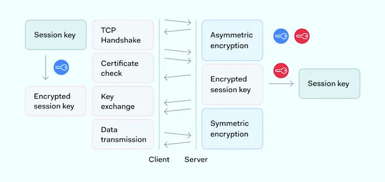 How to Encrypt Internet Connection: A Guide for Your Business | NordLayer
