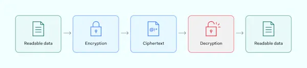 How to Encrypt Internet Connection: A Guide for Your Business | NordLayer