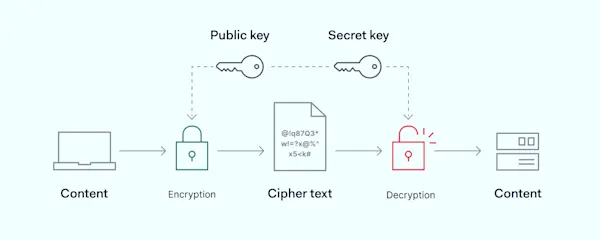 How to Encrypt Internet Connection: A Guide for Your Business | NordLayer