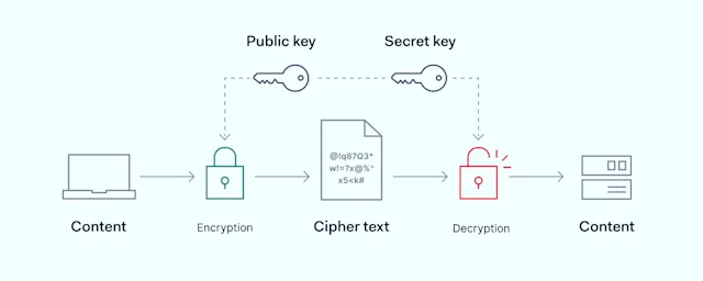 How to Encrypt Internet Connection: A Guide for Your Business | NordLayer