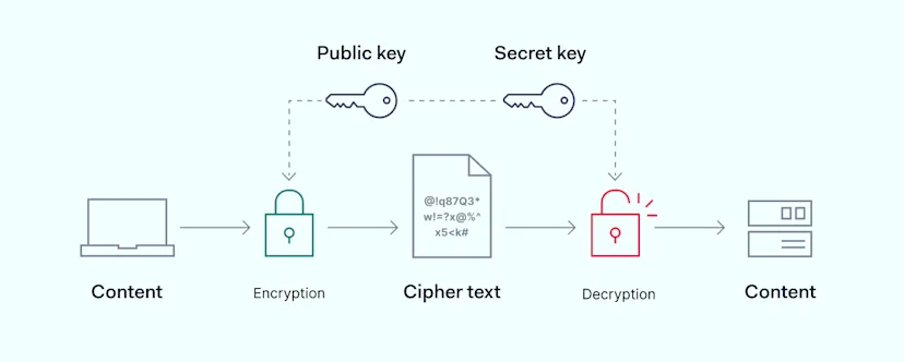 How to Encrypt Internet Connection: A Guide for Your Business | NordLayer