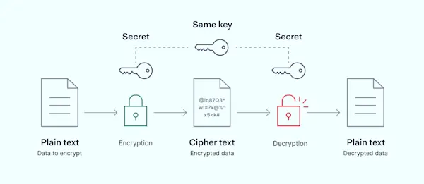 How to Encrypt Internet Connection: A Guide for Your Business | NordLayer