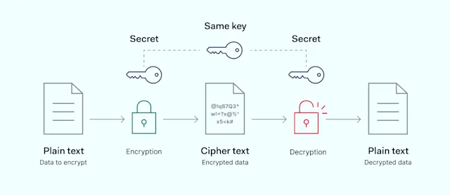 How to Encrypt Internet Connection: A Guide for Your Business | NordLayer