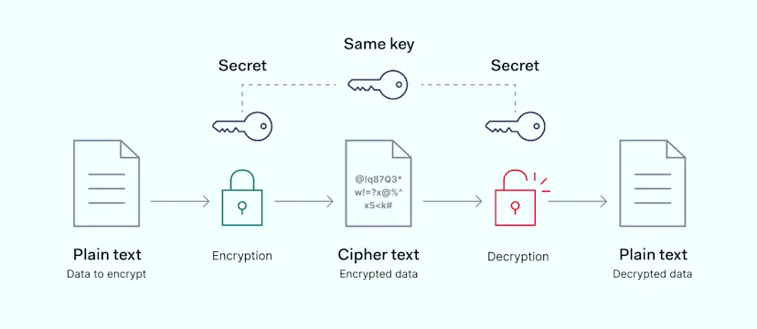 How to Encrypt Internet Connection: A Guide for Your Business | NordLayer