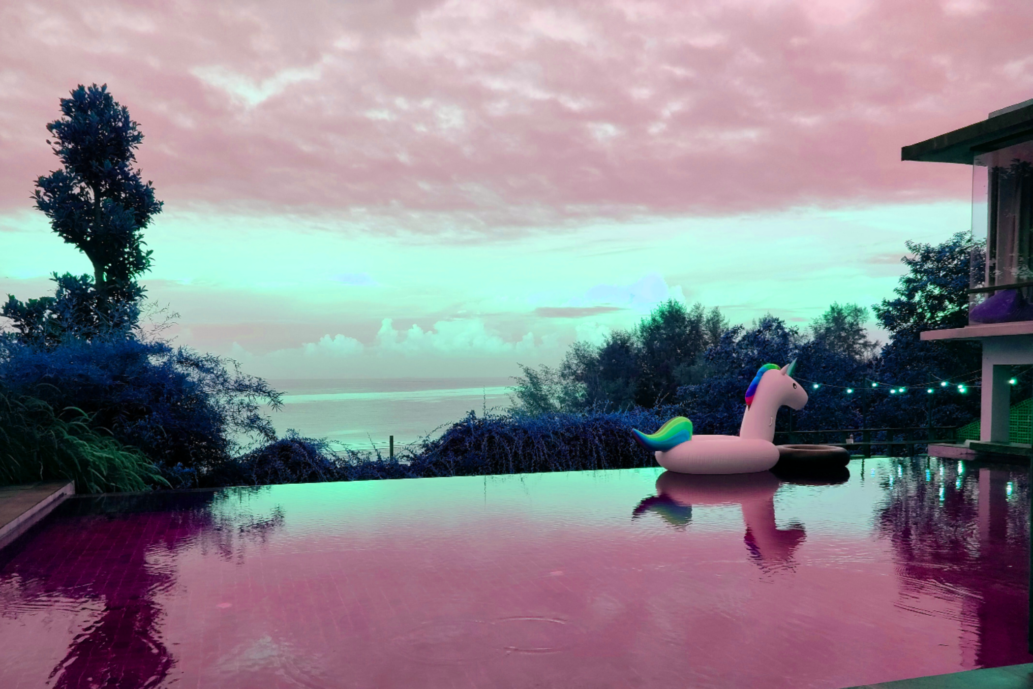 Digital culture and entertainment insights daily: Pools, Hot Tubs ...