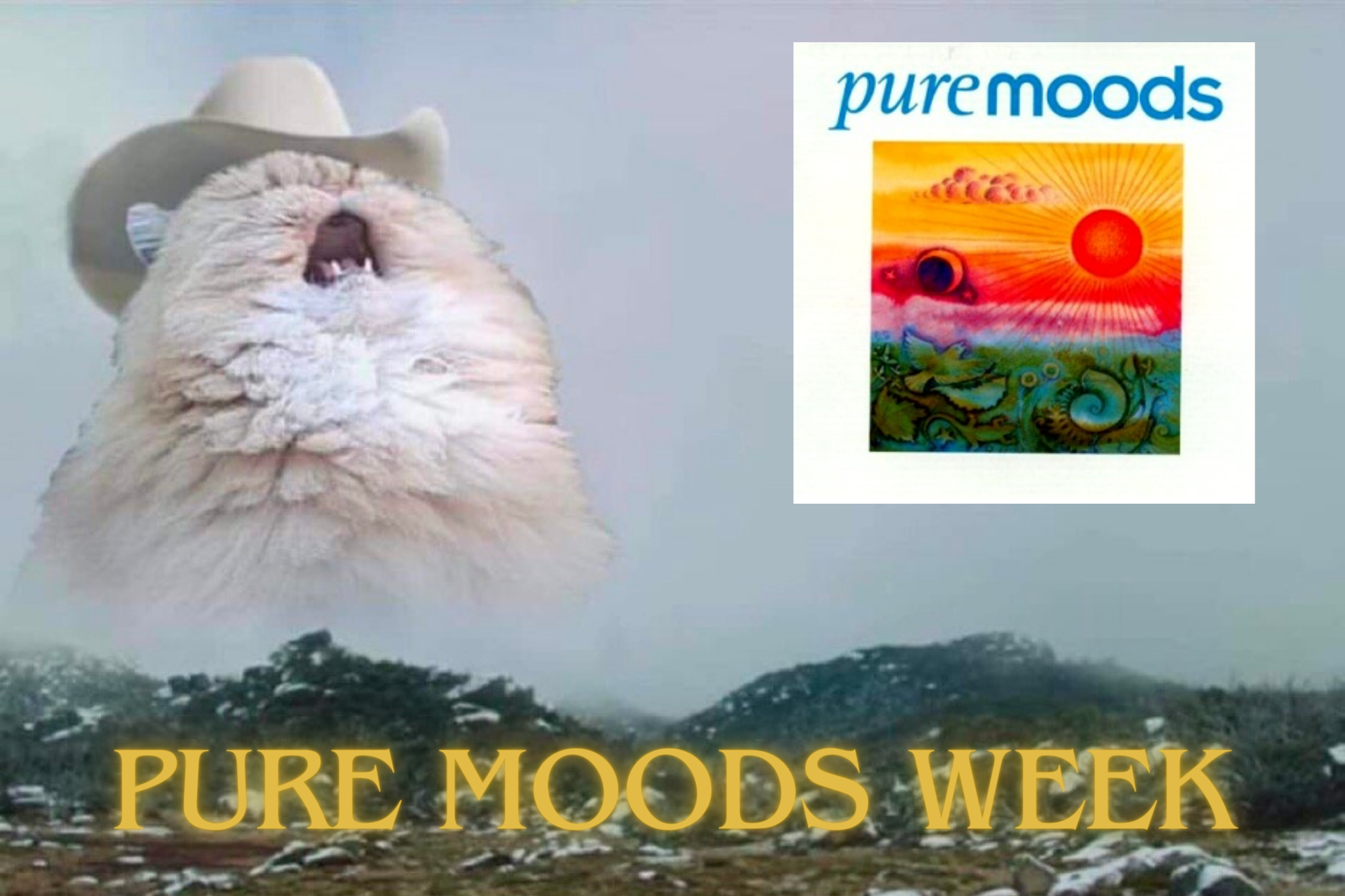 Digital culture and entertainment insights daily: Pure Moods｜Dirt