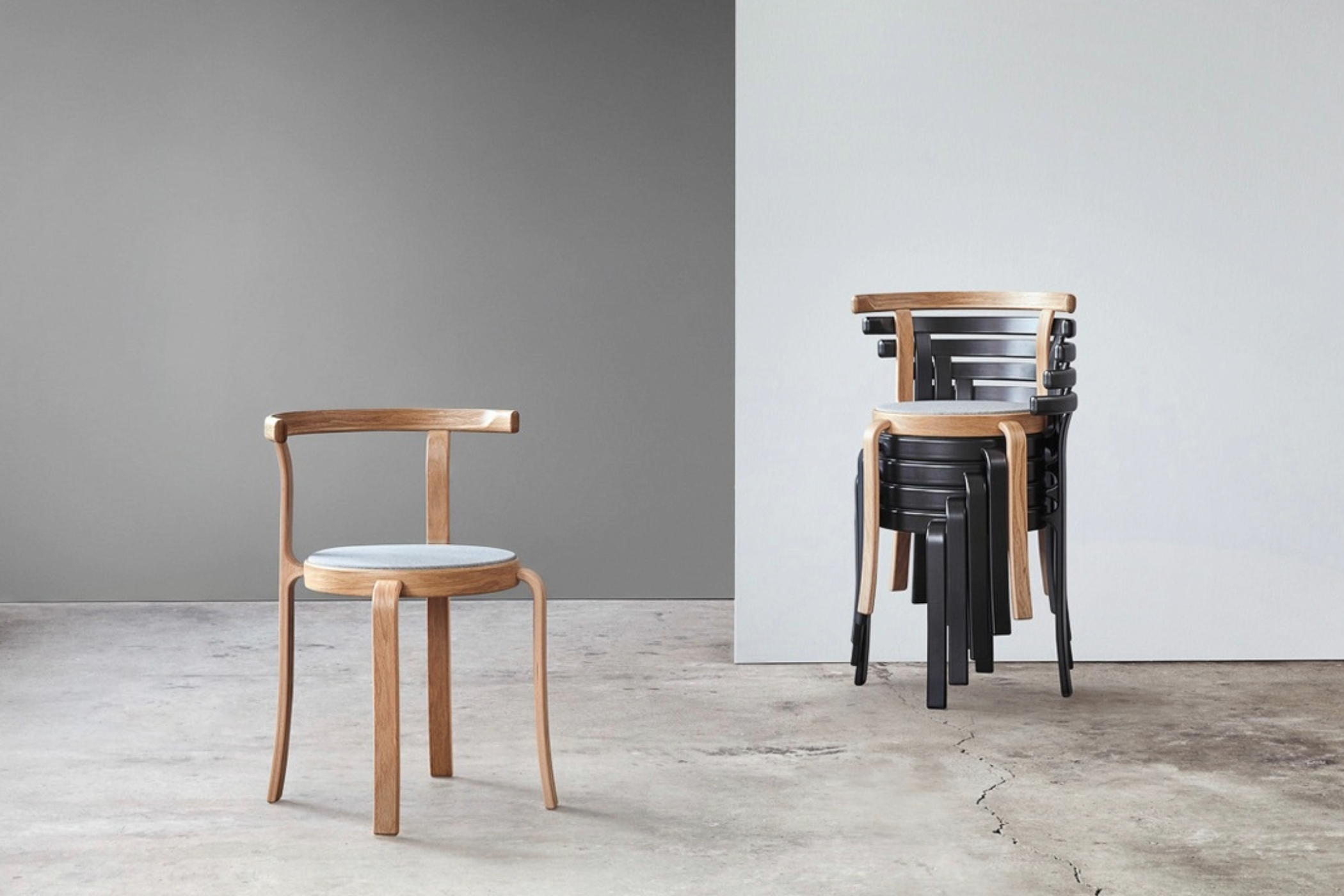 Digital culture and entertainment insights daily: Curves, Beech, and ...