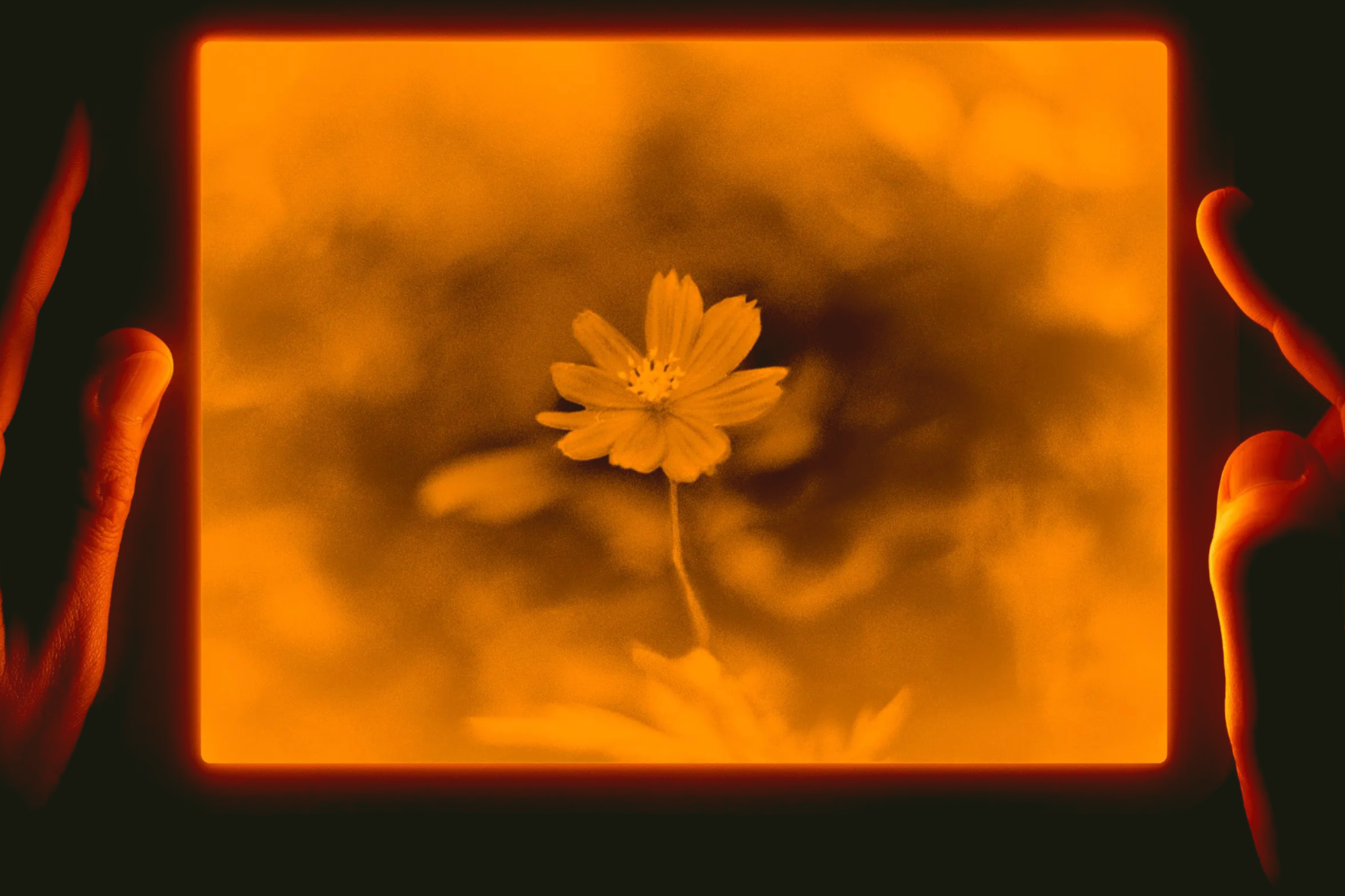 Digital culture and entertainment insights daily: Calm technology