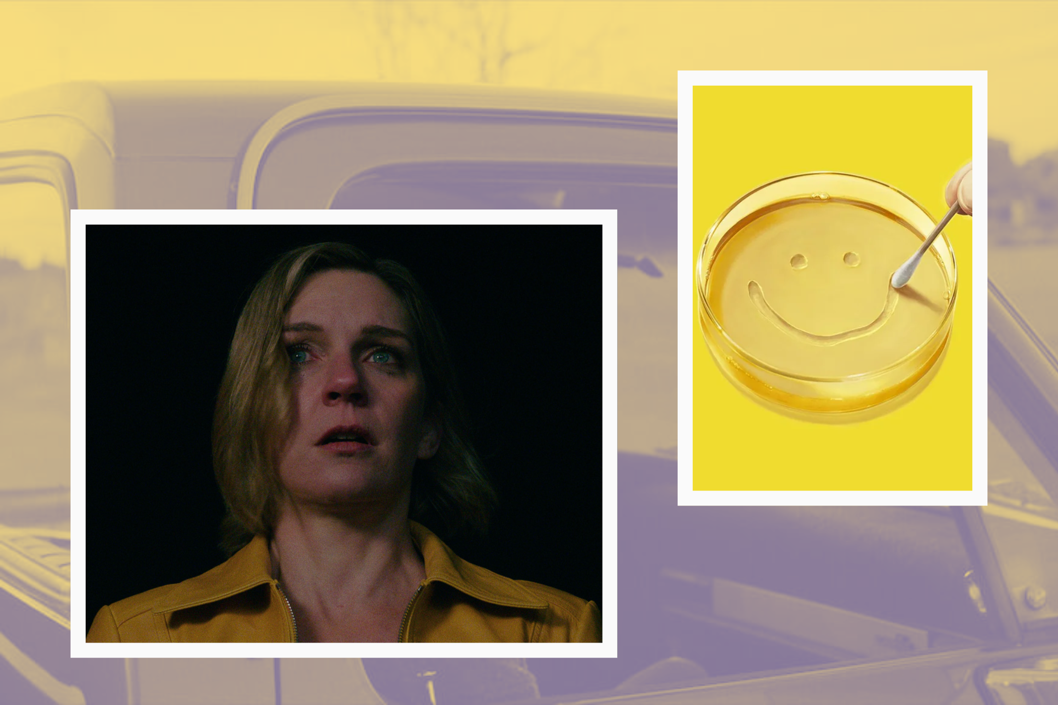 Digital culture and entertainment insights daily: Color theory in Pluribus