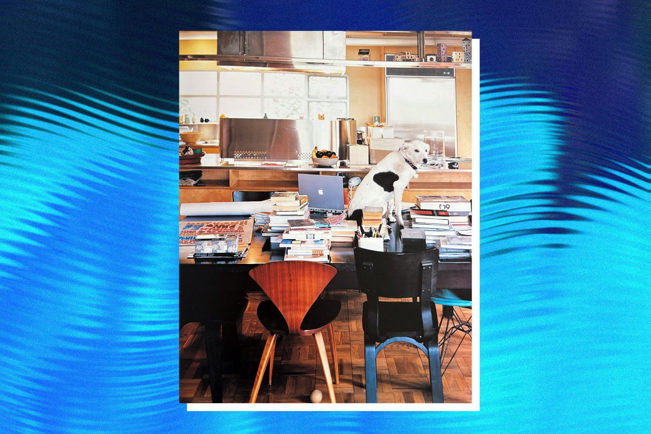 Digital culture and entertainment insights daily: How should a book stack be?