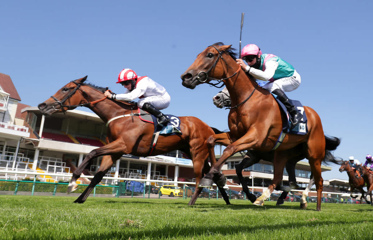 Dave Nevison: My three horse racing tips for Friday