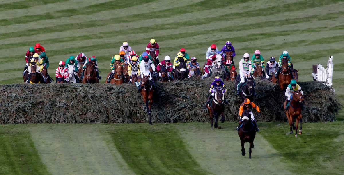 Five Grand National runners worth second look at chunky odds