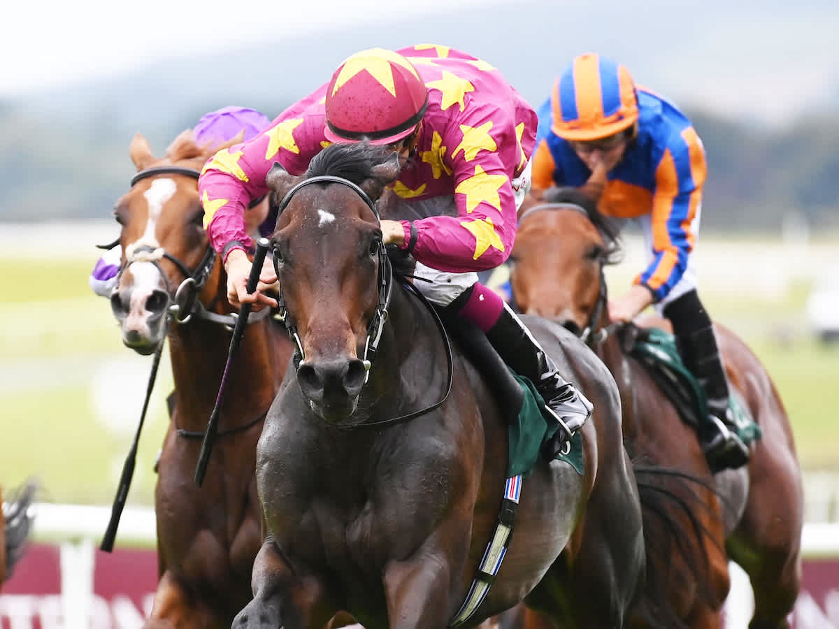 Johnny Ward's best bets for The Curragh on Saturday