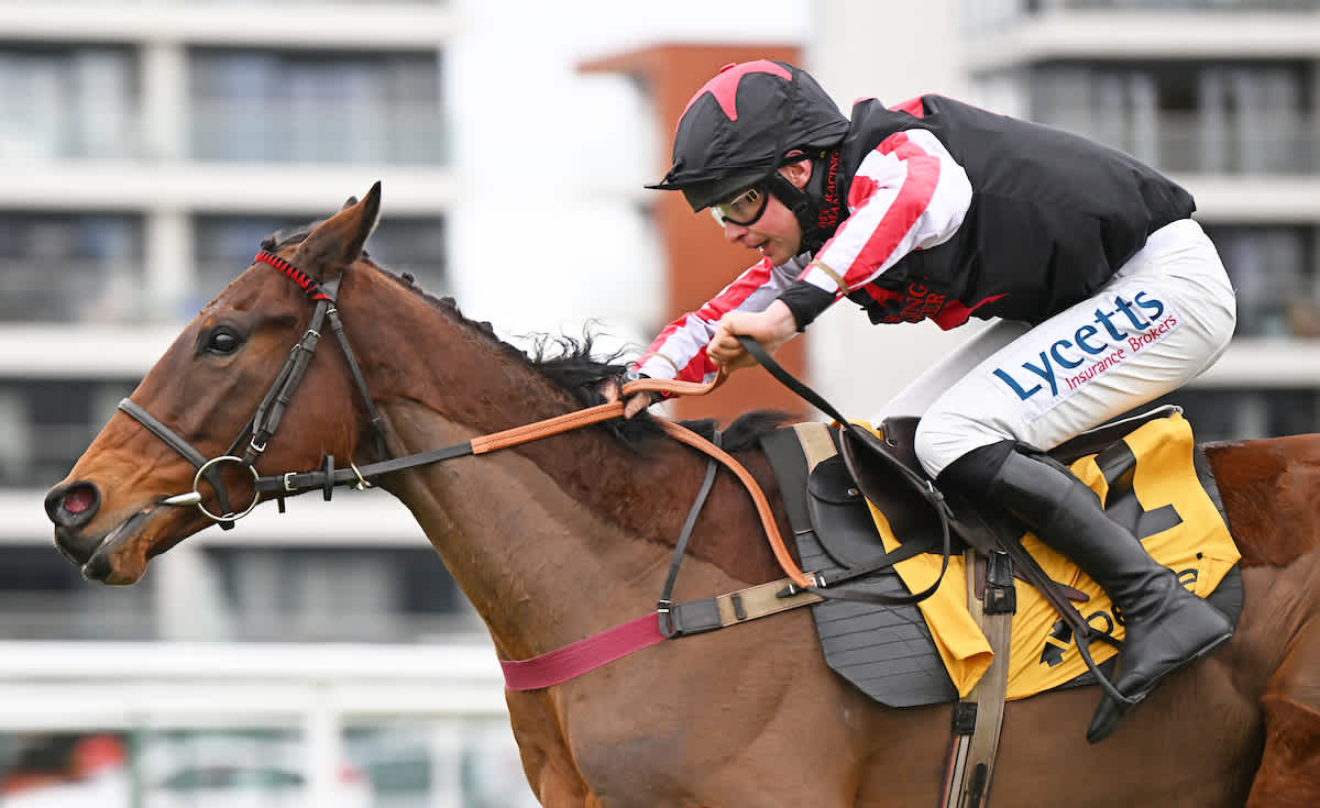 Funambule Sivola set for Champion Chase tilt