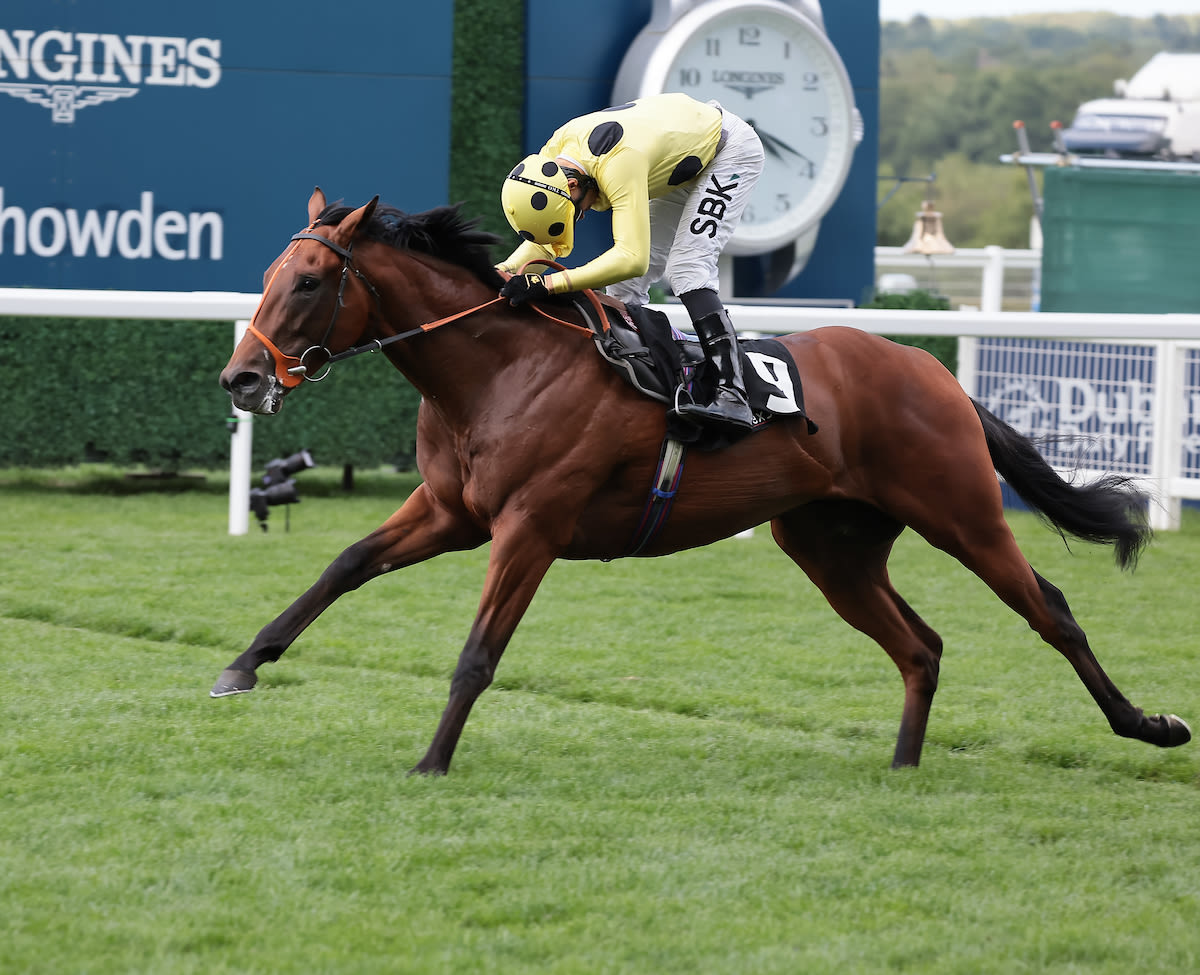 Doncaster previews: Rosallion out to sparkle in Champagne