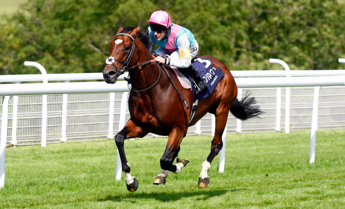 Frankel to command stud fee of £350,000 in 2024