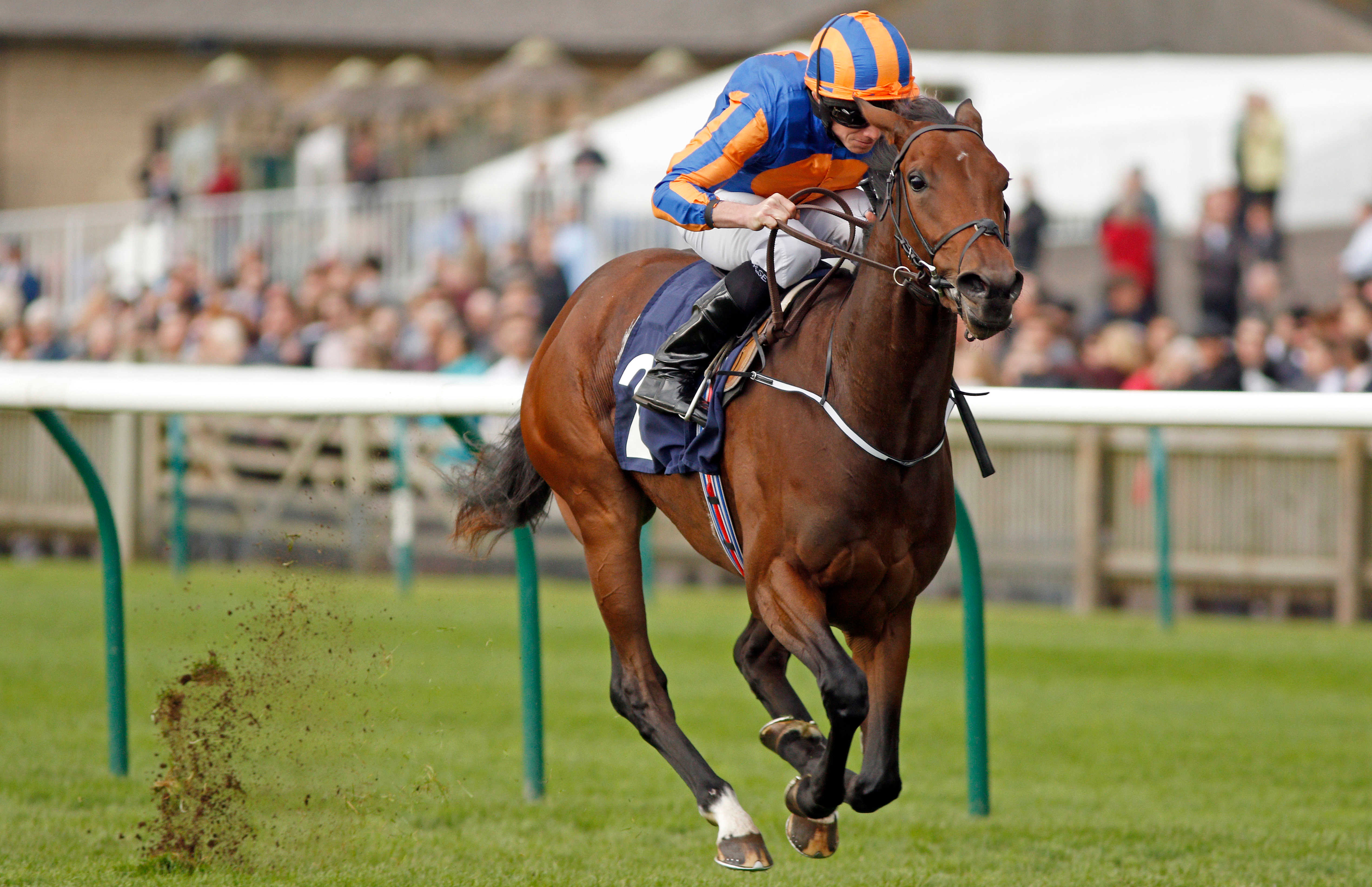 Oaks 2018 runner-by-runner guide: Baby can say Bye Bye to Epsom rivals