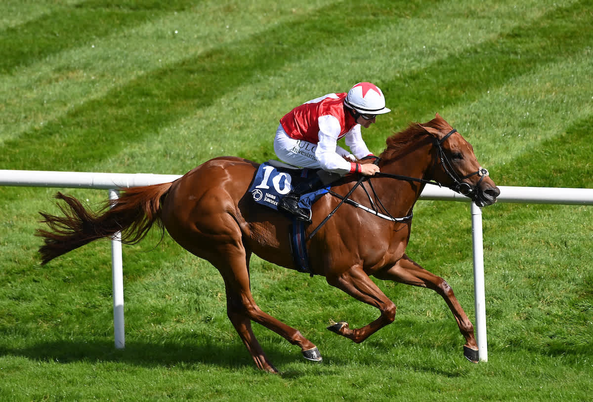 Naas report: Ocean Quest back to winning ways for Harrington