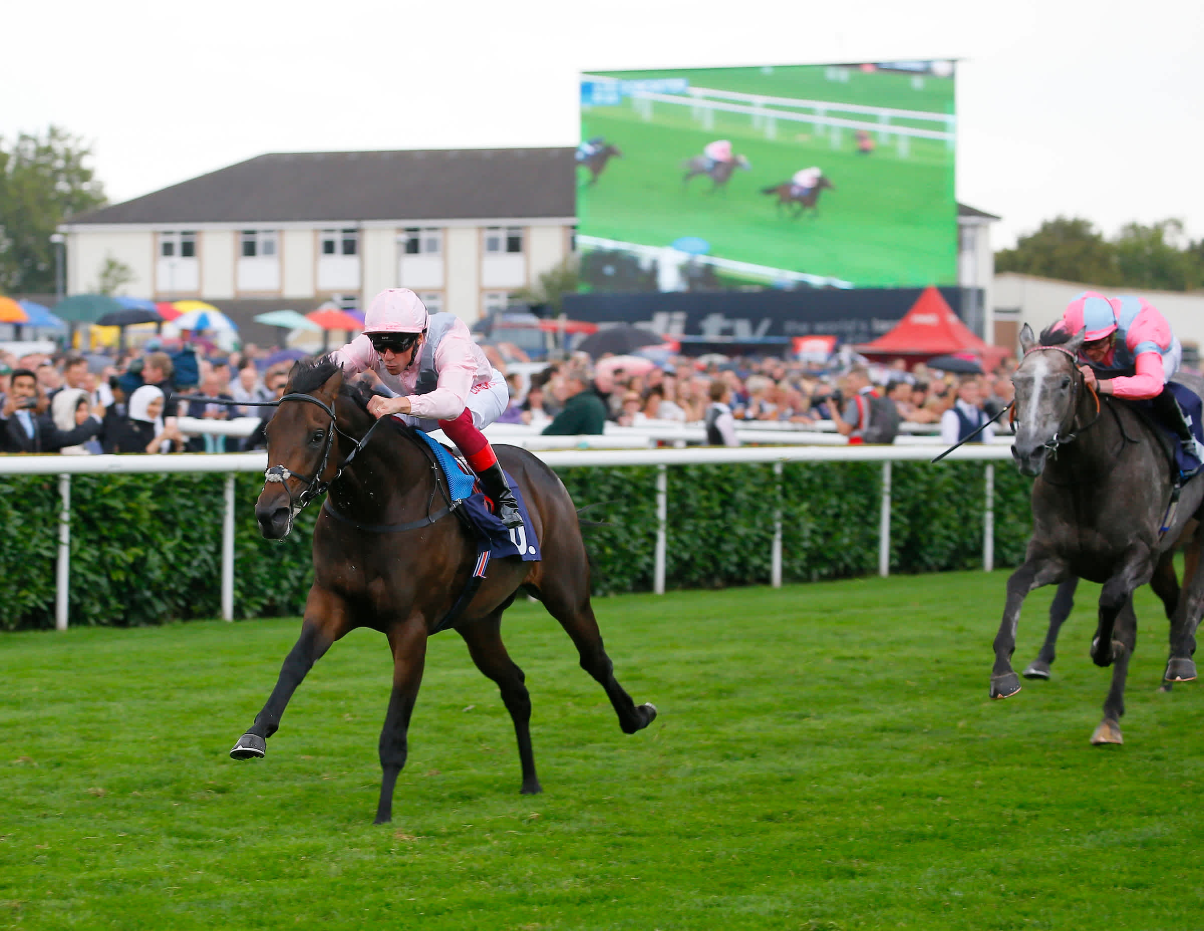 Runner-by-runner guide to the Al Basti Equiworld Dubai Dante Stakes