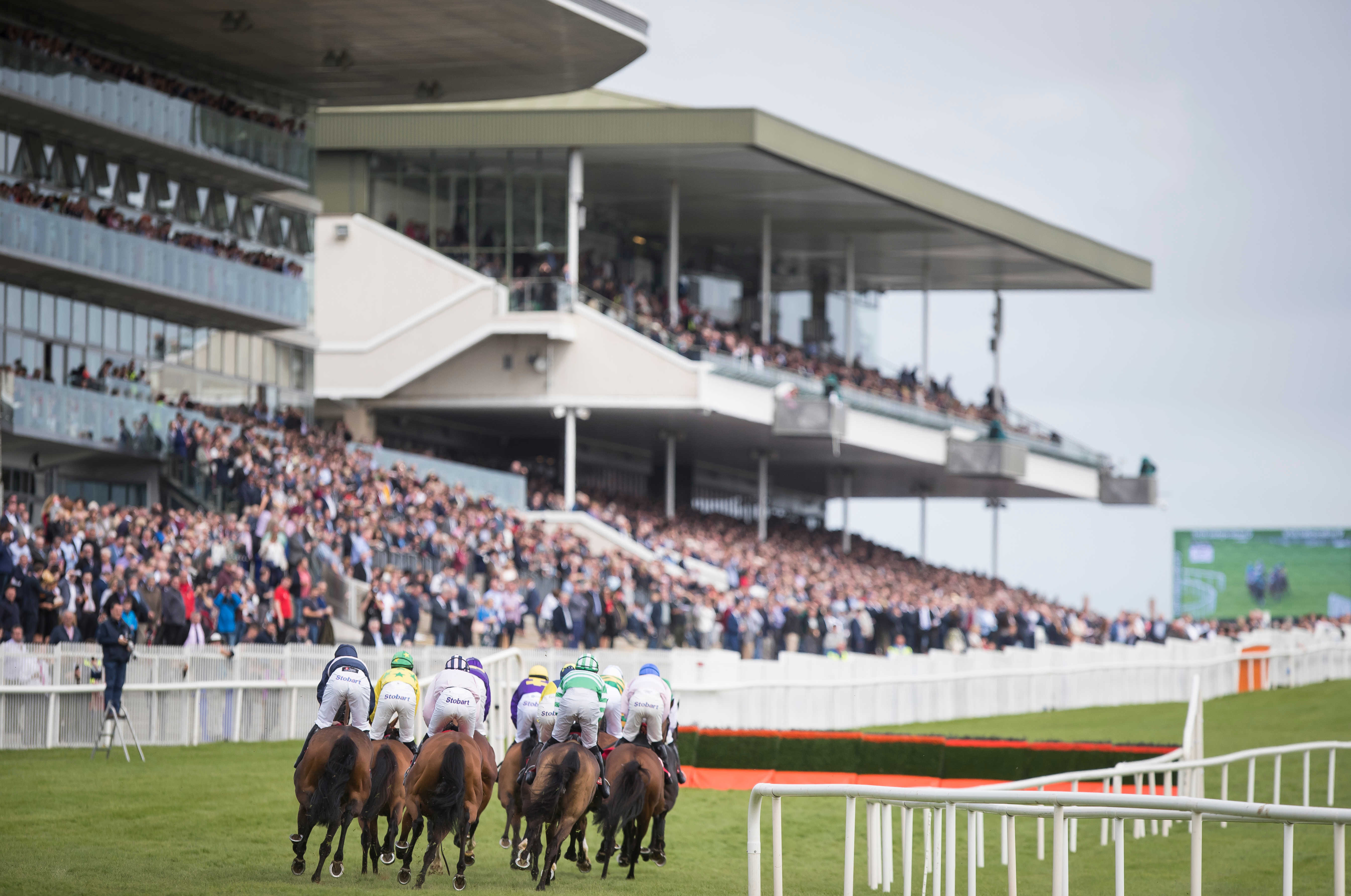 The 2022 Galway Festival: all you need to know about the meeting
