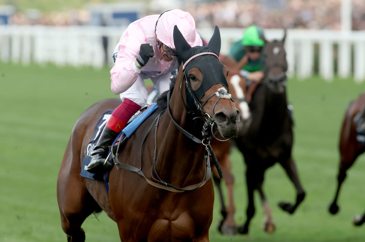 Coral-Eclipse: how Emily Upjohn and Paddington measure up