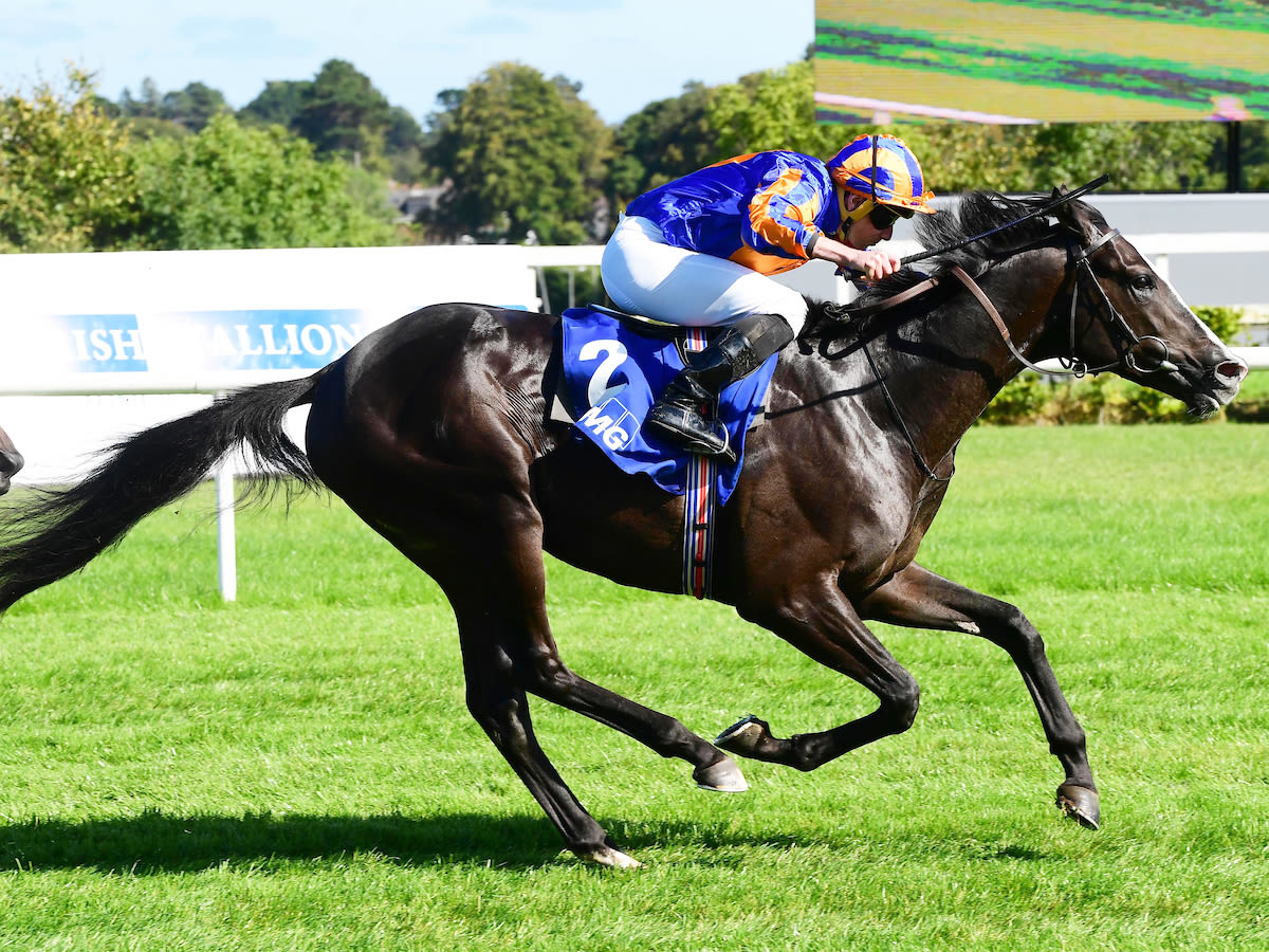 Derby favourite Auguste Rodin poised for Doncaster