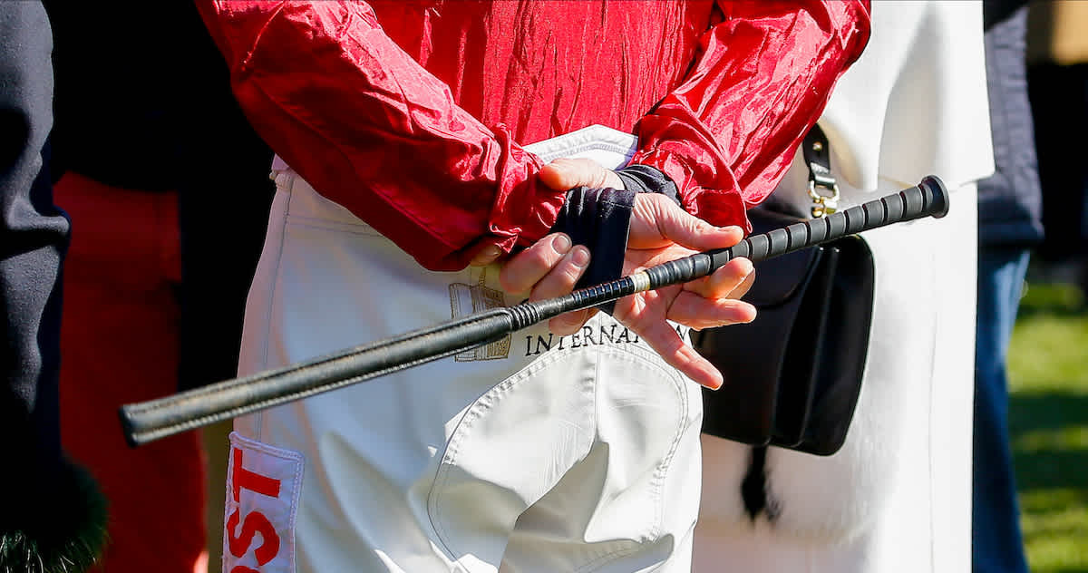 Twenty suspensions issued in first week of new whip rules