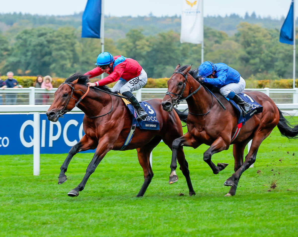 Champion Stakes: Bay Bridge spoils party for Baaeed at Ascot
