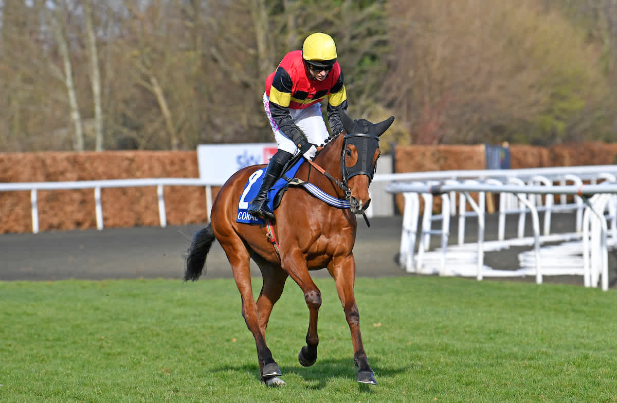 2.40 Cheltenham: Harris hunting for Knight Salute clues