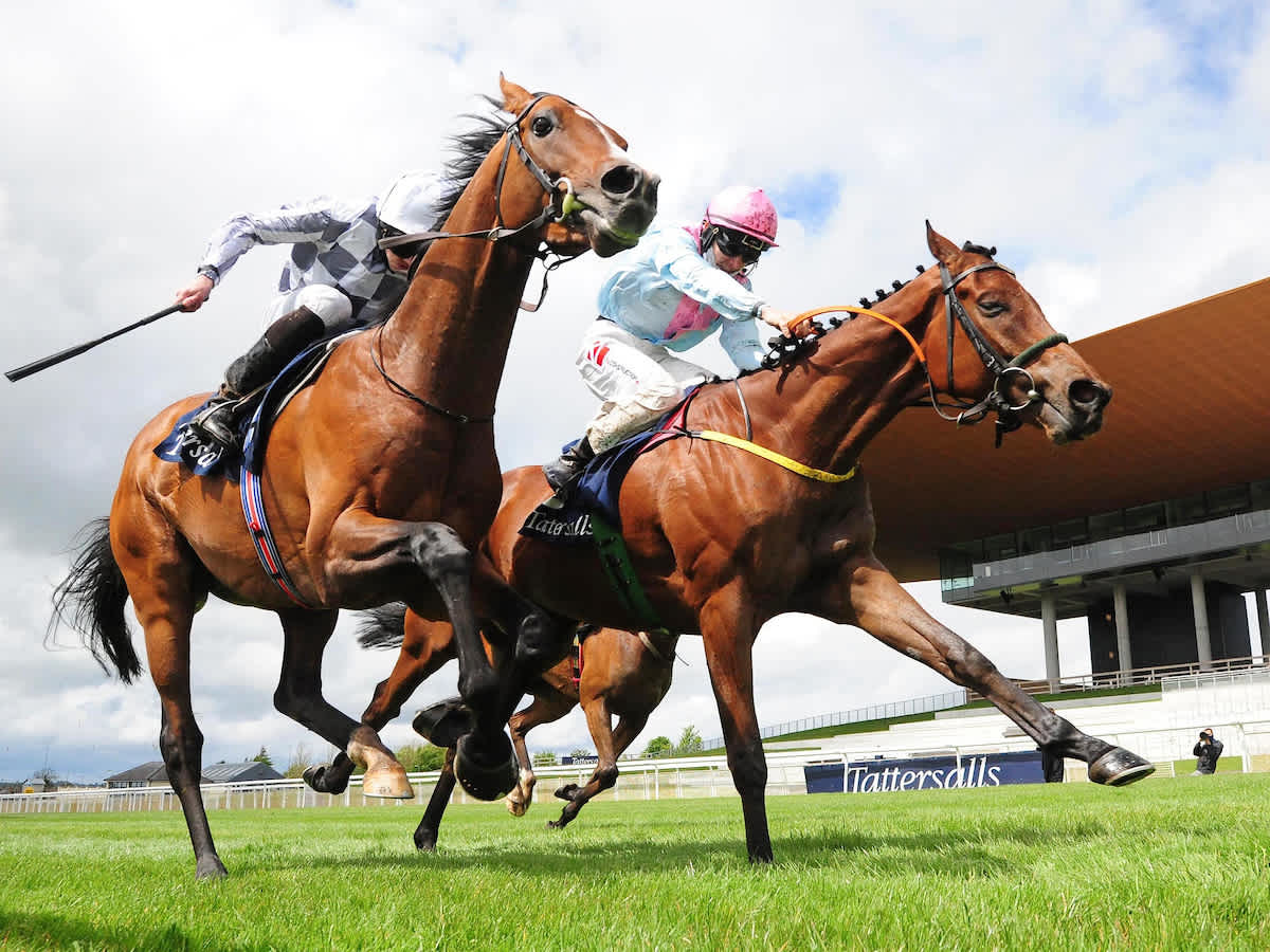 Helvic Dream heads entries for Green Room Meld Stakes