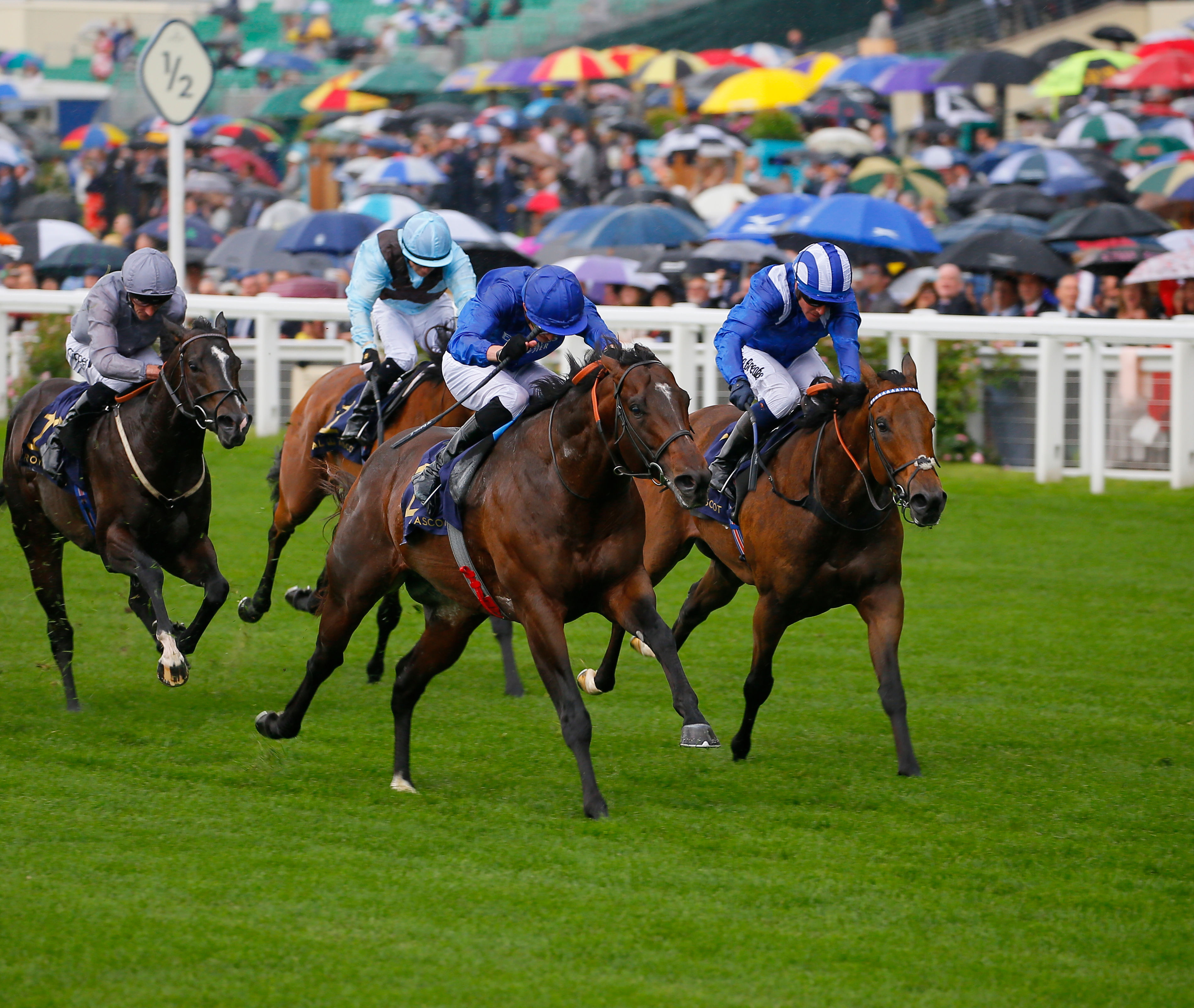 Crystal Ocean hailed by BHA handicappers after Prince of Wales's victory