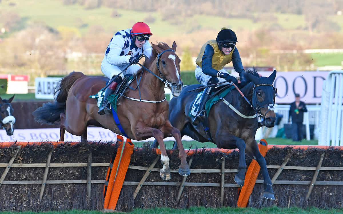 The Verdict Extra: Snake Roll created a big impression at Kelso