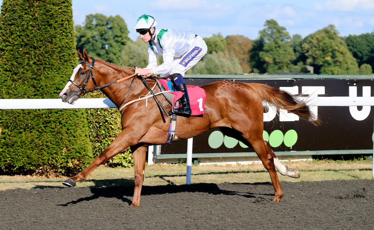 Betfred Derby: Muscutt holds all confidence in Dubai Mile